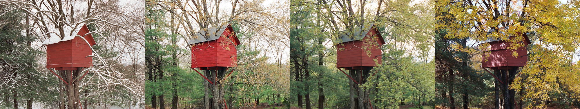 * Why Did Erik Heels Contact You About Treehouse? – * Treehouse